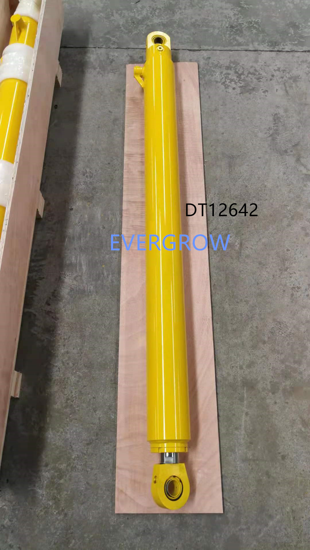 DT12642 CYLINDER, LINK TILT TDS SPARE PARTS CANRIG - Buy DT12642 ...